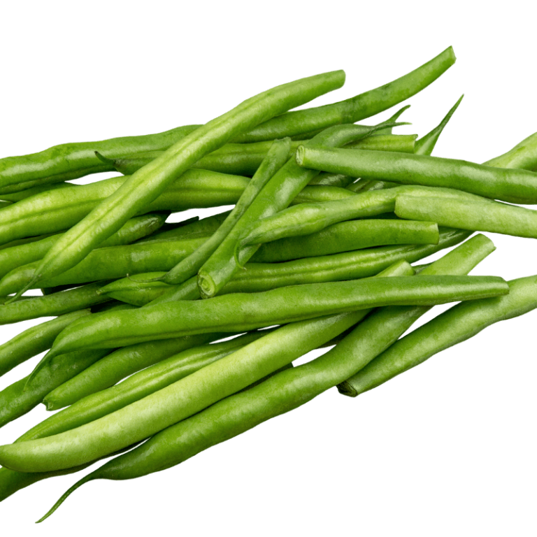 Ash Gourd [Kubindo] (5-8 KG) 1 Pcs Price in Nepal | Online Tarkari Pasal