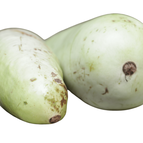 Ash Gourd [Kubindo] (5-8 KG) 1 Pcs Price in Nepal | Online Tarkari Pasal