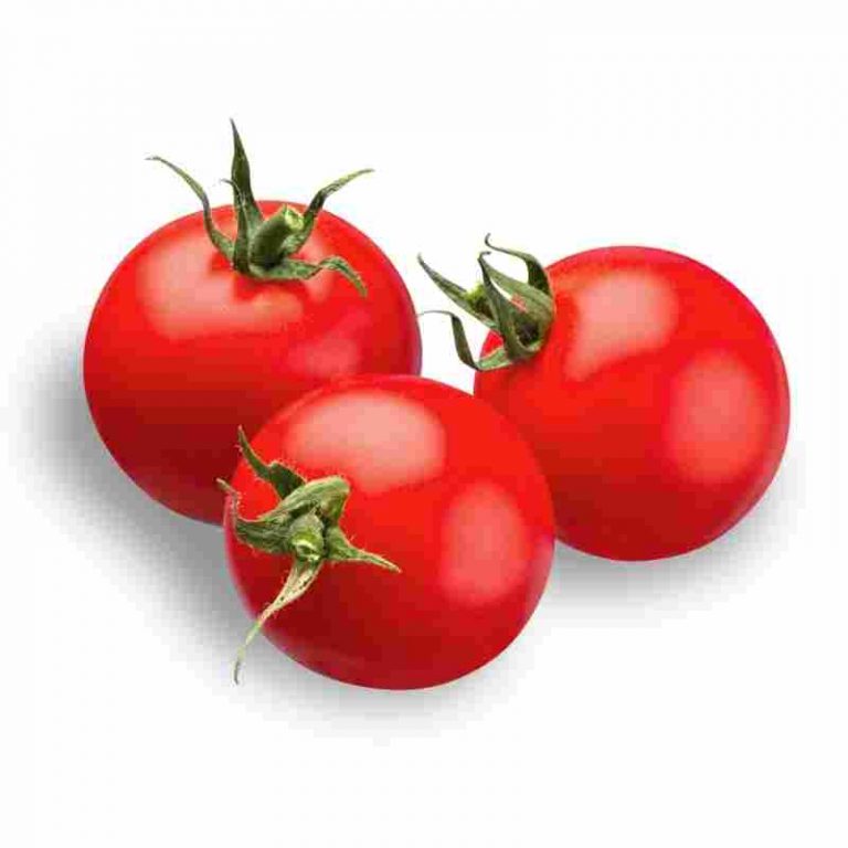 Ash Gourd [Kubindo] (5-8 KG) 1 Pcs Price in Nepal | Online Tarkari Pasal