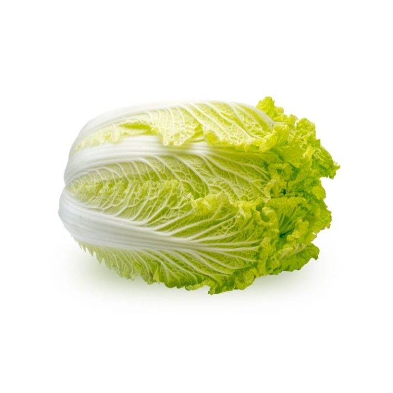 Chinese Cabbage Napa Cabbage Price In Nepal Online Tarkari Pasal chinese-cabbage-napa-cabbage-price-in-nepal-online-tarkari-pasal