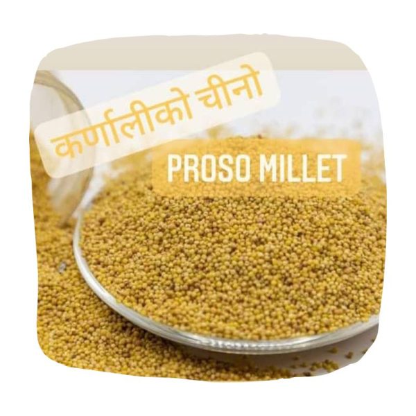 कर्णालीको चिनो Proso Millet Price in Nepal | Online Tarkari Pasal